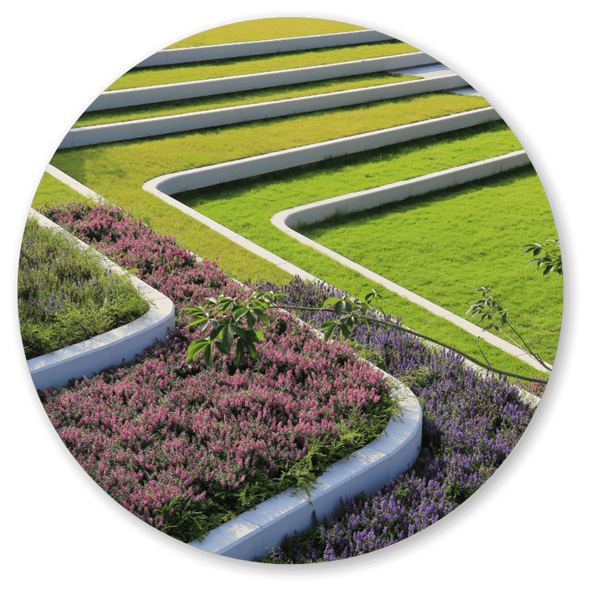 Awards and Achievements