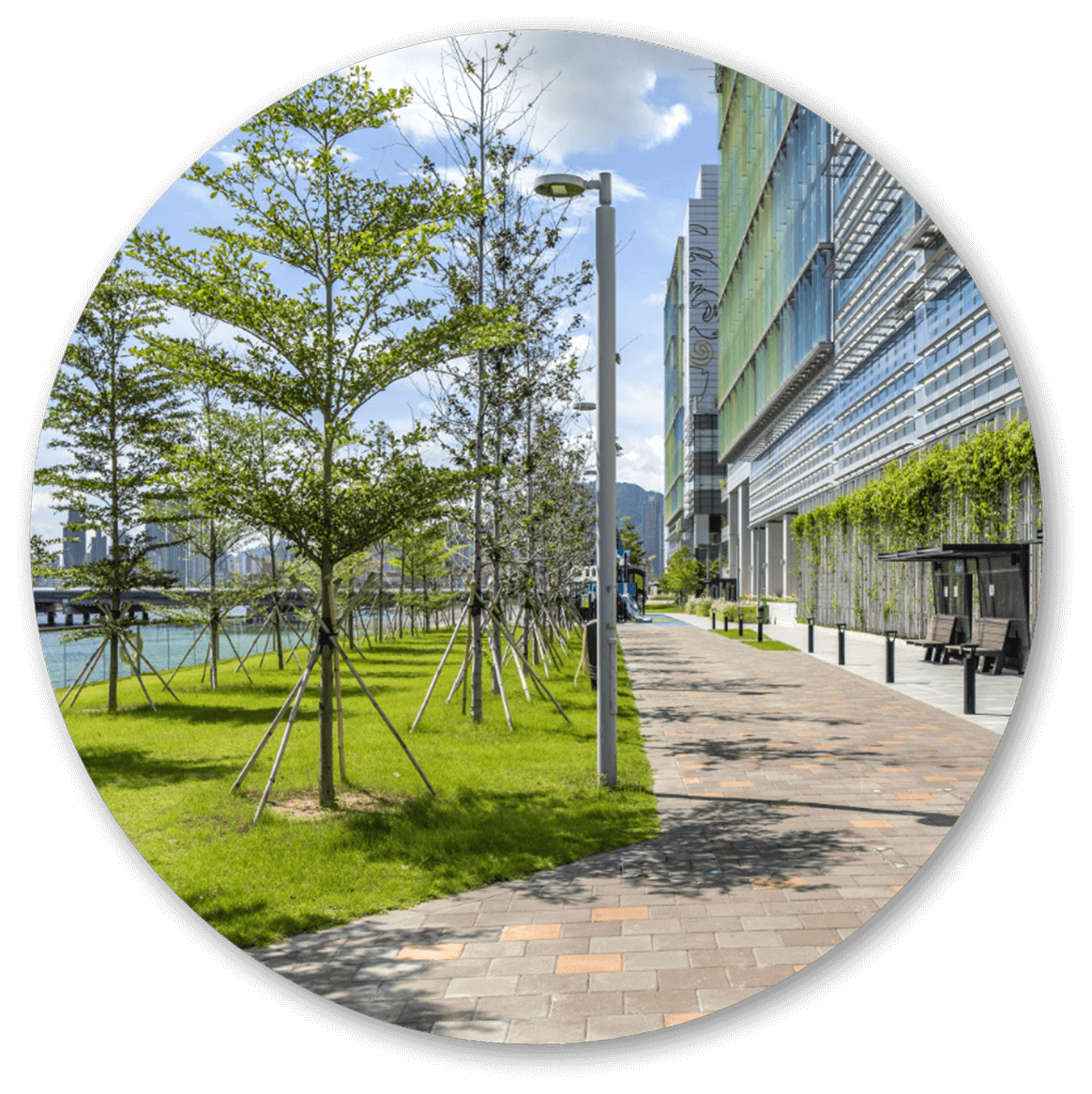 Objectives and Targets