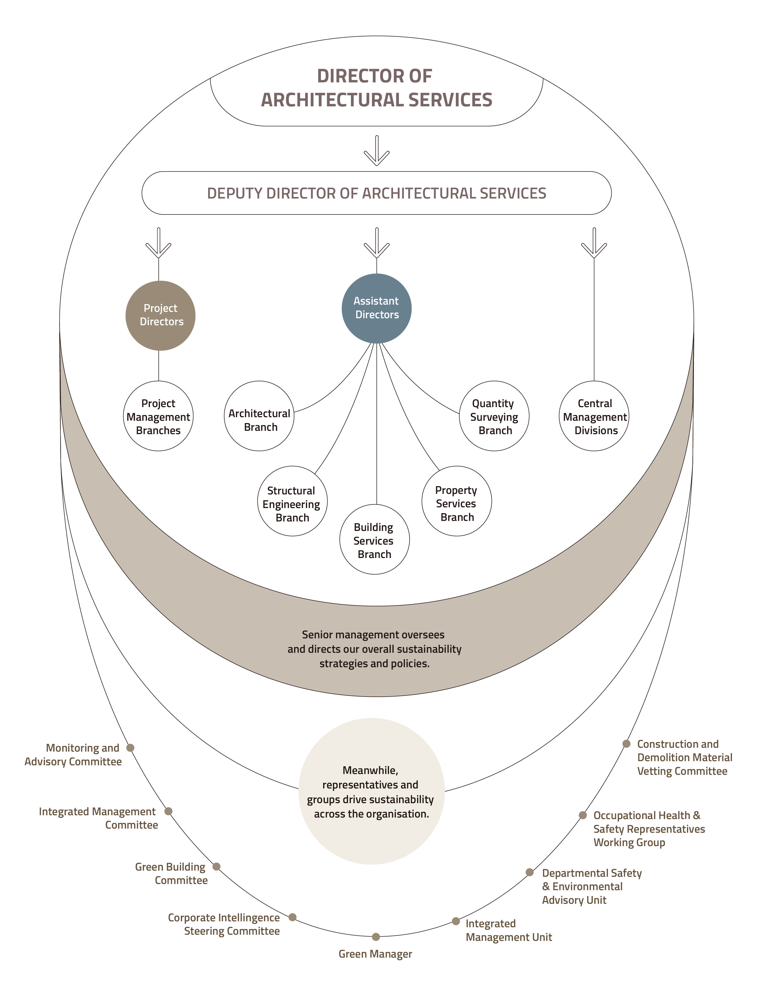 Our Organisation and Roles